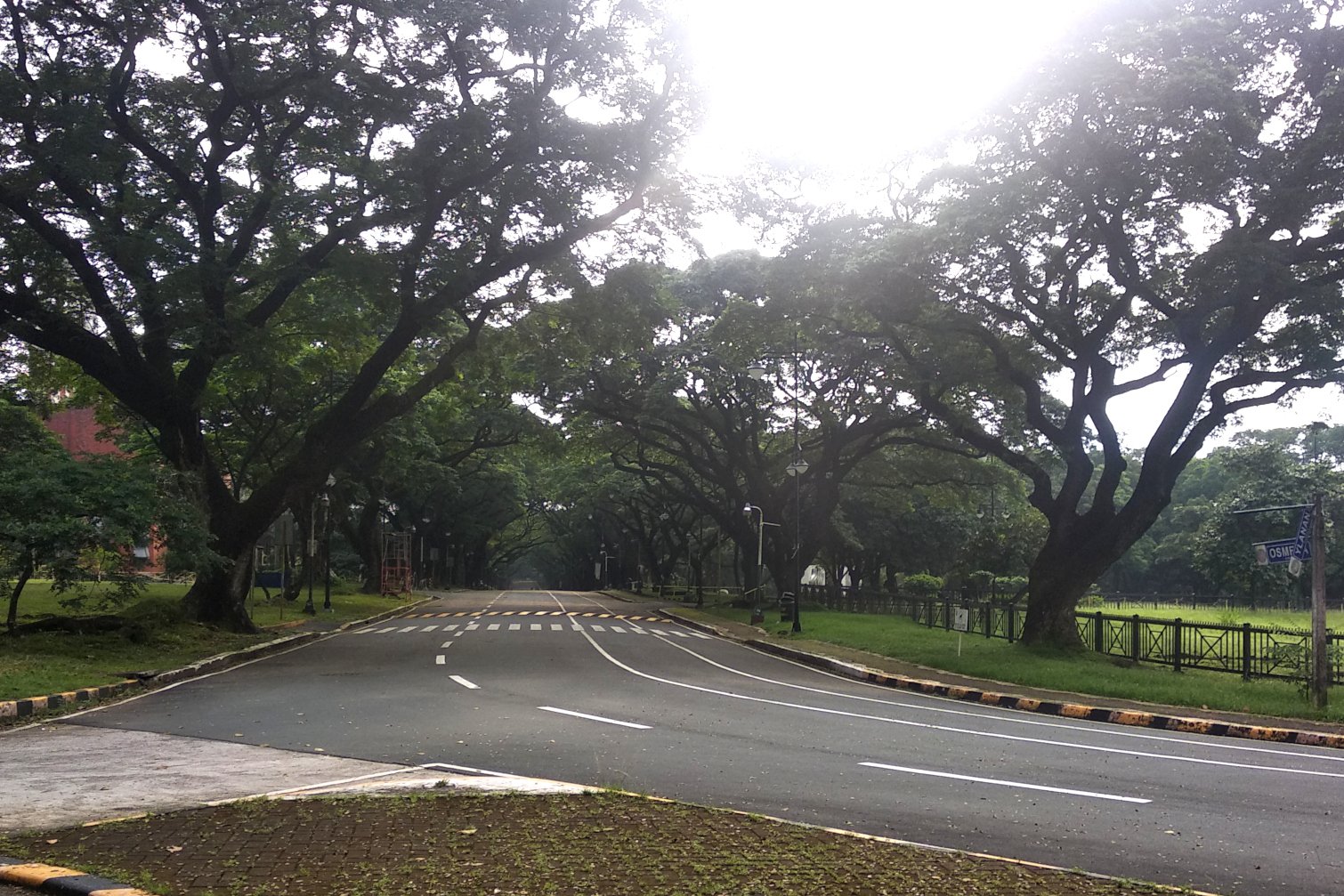 Rediscovering QC: UP Diliman | eagerexplorer