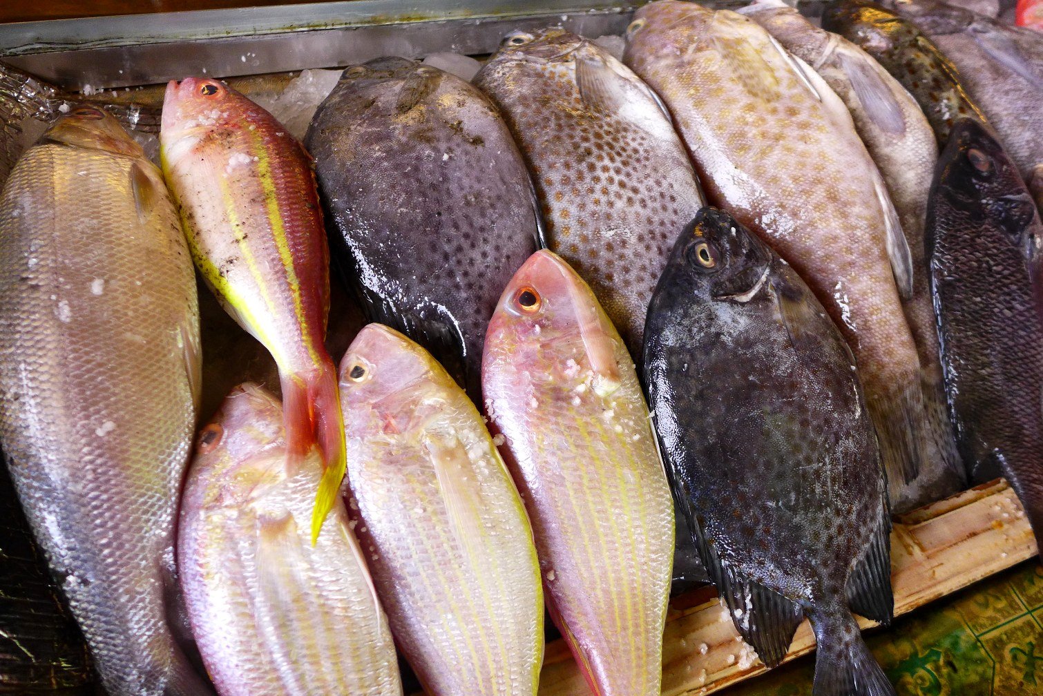 Roxas Seafood | eagerexplorer